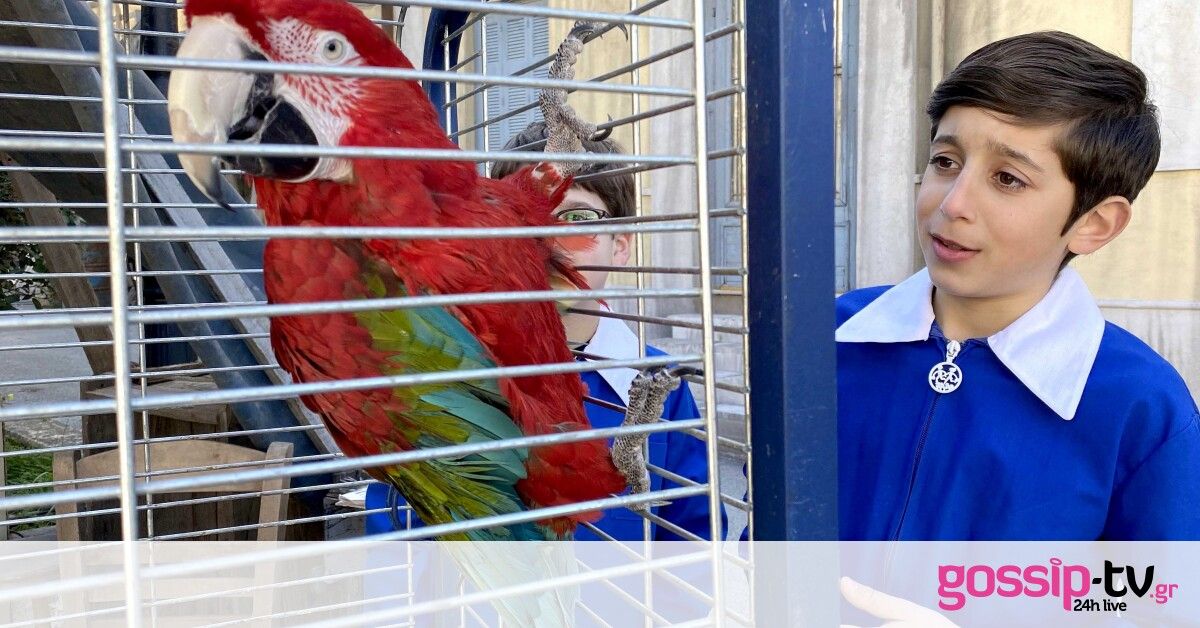 Τα καλύτερά μας χρόνια: Τα λόγια ενός παπαγάλου προκαλούν τριγμούς στη ...