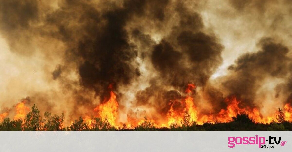 Τεταμένα τα νεύρα στα πύρινα μέτωπα: Πολίτης επιτέθηκε σε συνεργείο της ...