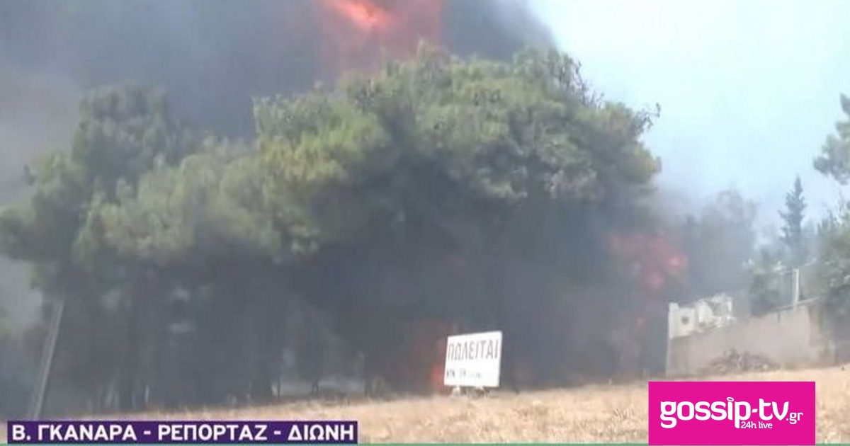 Φωτιά Αττική: Σοκαρισμένη η ρεπόρτερ με σπίτι που παραδόθηκε στις ...