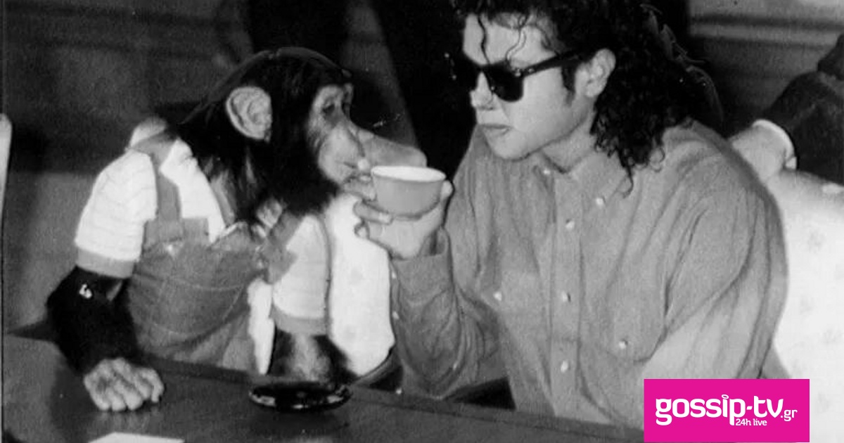 Πού ζει σήμερα ο διάσημος χιμπαντζής του Michael Jackson, Bubbles ...